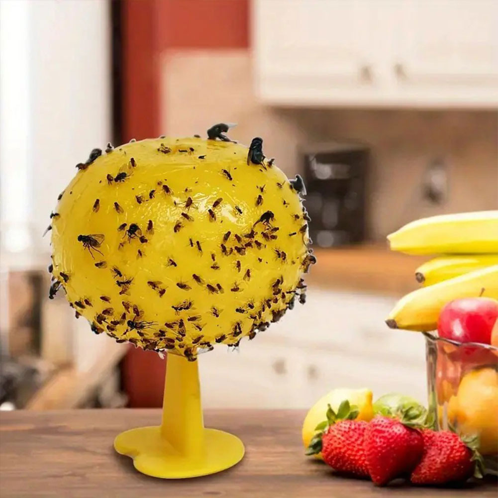 Fruit Fly Trap Killer Fruit Fly Catcher Drosophila Trap for Outdoor ...
