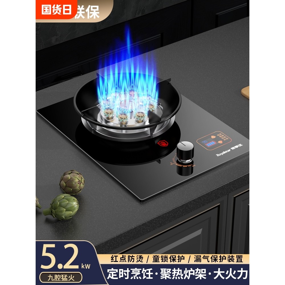 Royalstar Gas Stove Single Burner Household Liquefied Gas High Flame ...