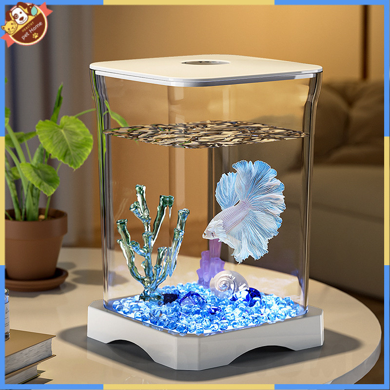 Small Fish Tank for Home Use in Living Room, Office Desk, or Tabletop ...