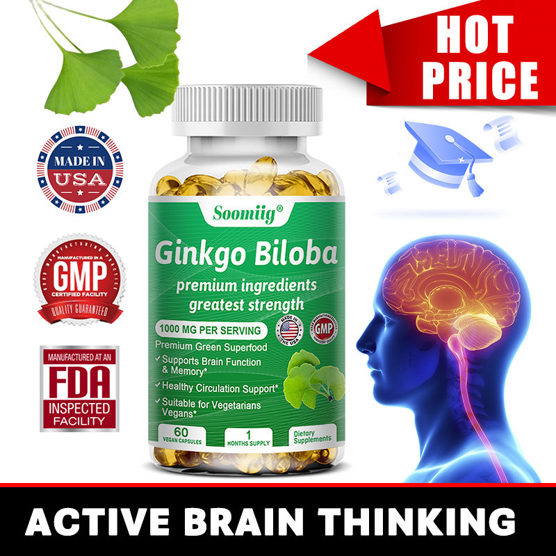 Ginkgo Biloba Extract, Brain & Memory Support, Brain Function & Focus ...