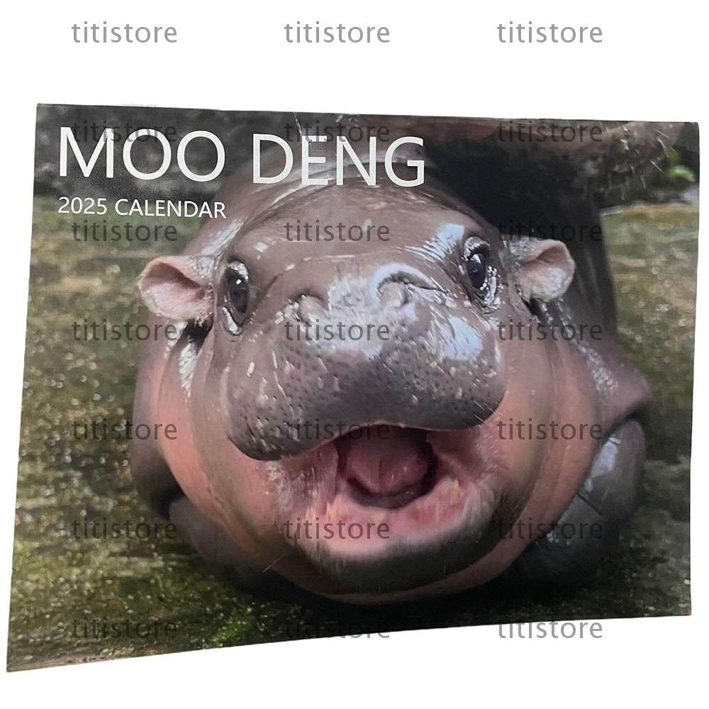 TITISTORE Moo Deng Calendar, Hanging Daily Weekly Monthly Planner 2025 ...