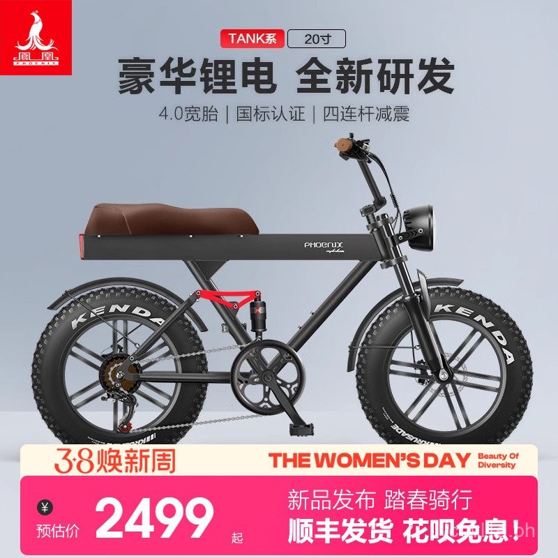 Phoenix Snowfield Electric Bicycle48v Lithium Battery Men's and Women's ...