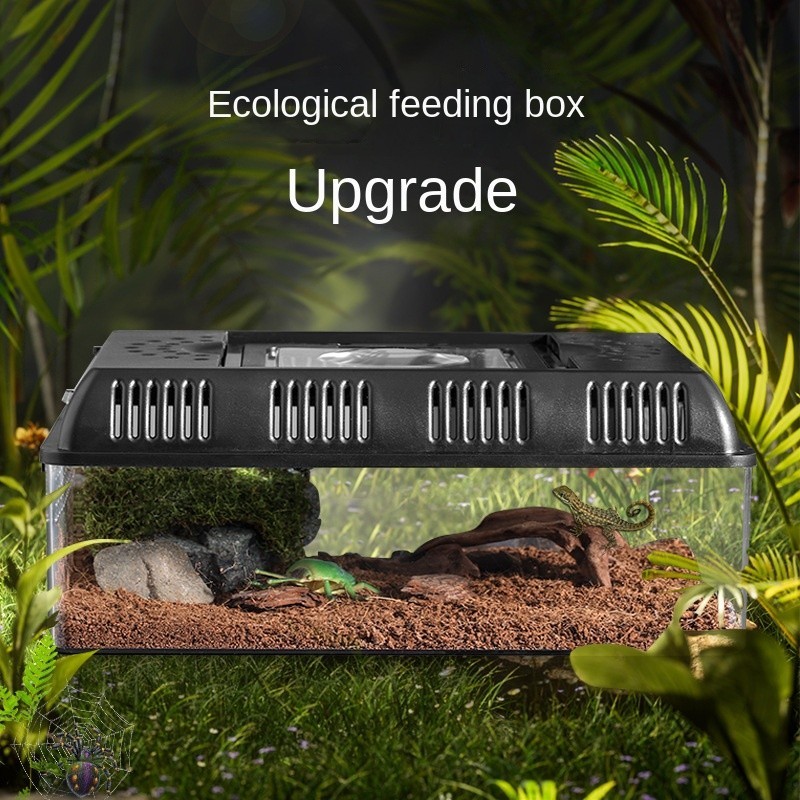 Crawling Pet Box Reptile Box High Transparent Portable Reptile Box ...