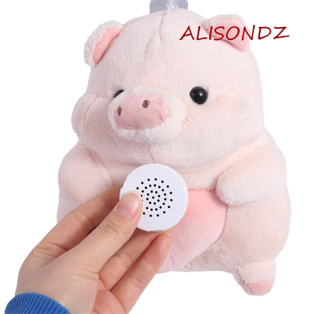 ALISONDZ Voice Recorder Plush Toy, 30 Second Record Messages Recording ...