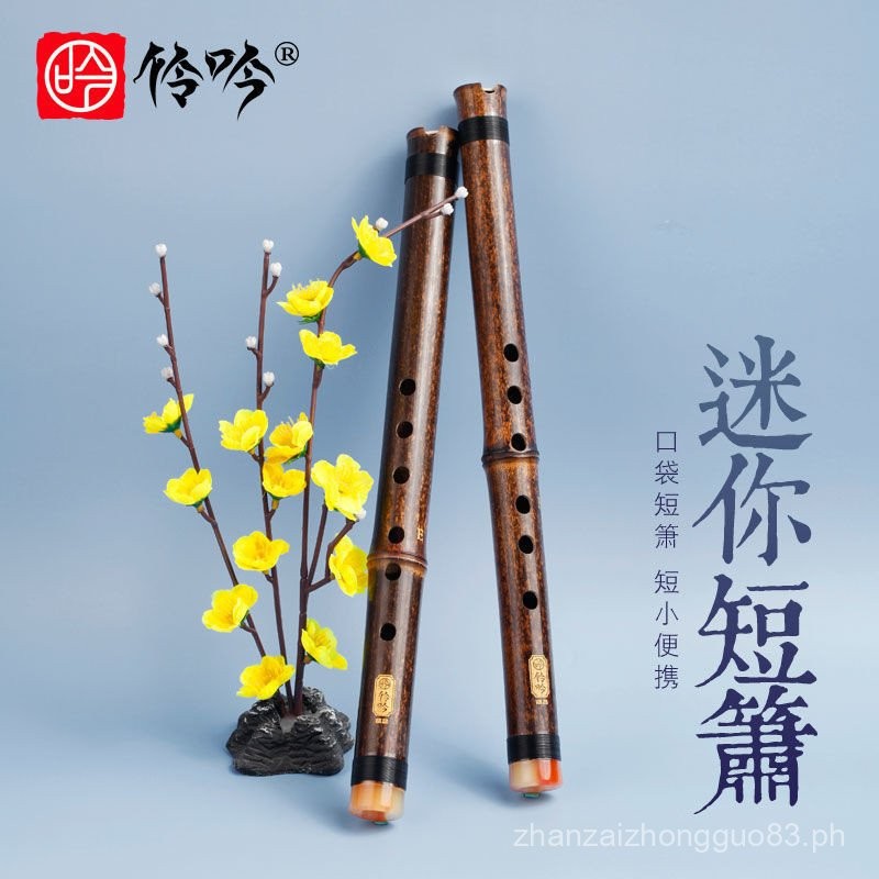 Beginner's Guide to Learning the Purple Bamboo Short Flute6Hole E Mini ...