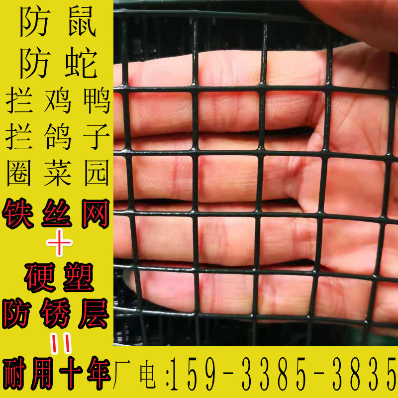 Small Hole Wire Mesh Fence for Chickens, Ducks, Geese, Rodent and Snake ...