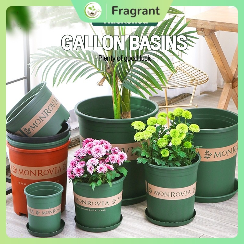 Gall basin, thickened, short, chubby, root control basin, vegetable ...