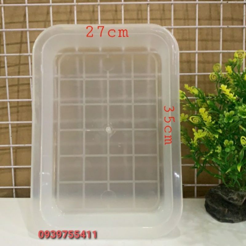 Bird Bath Brass Bird Worm Container Bird Bran Container (Large Size ...