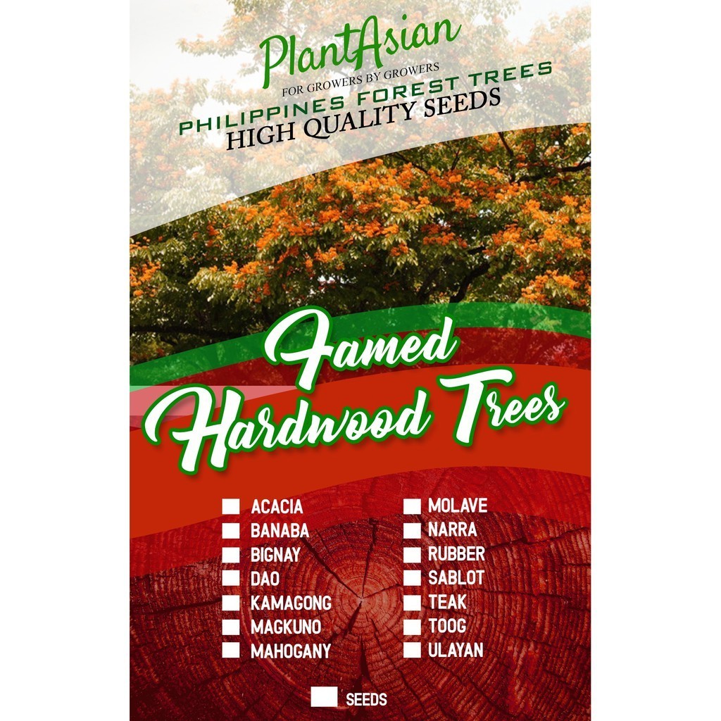 PHILIPPINE HARDWOOD TREE SEEDS | Shopee Philippines