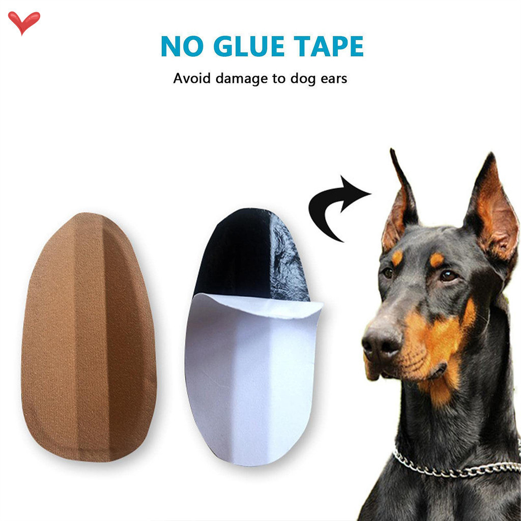 Dog Ear Posting Kit Fixed Dog Ear Stand Up Tool Supports Vertical Ear ...