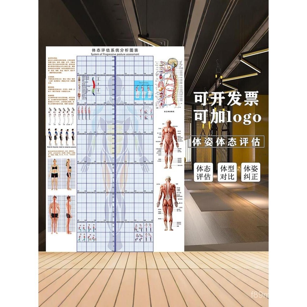 Human Posture Assessment Chart Gym Body Analysis Chart Wall Sticker ...