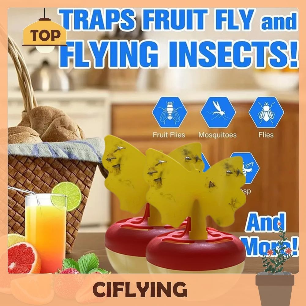 2Pcs Fruit Fly Traps Gnat Killer Catcher Gnat Trap and Effective Fruit ...