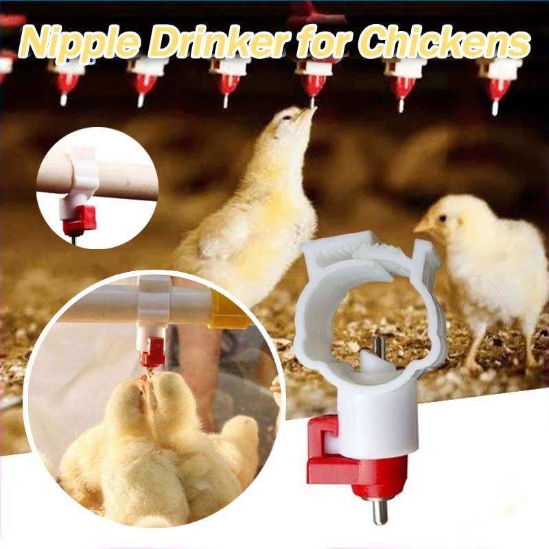 10PCS Chicken Water Nipples Drinker for Chicken Automatic Chicken ...