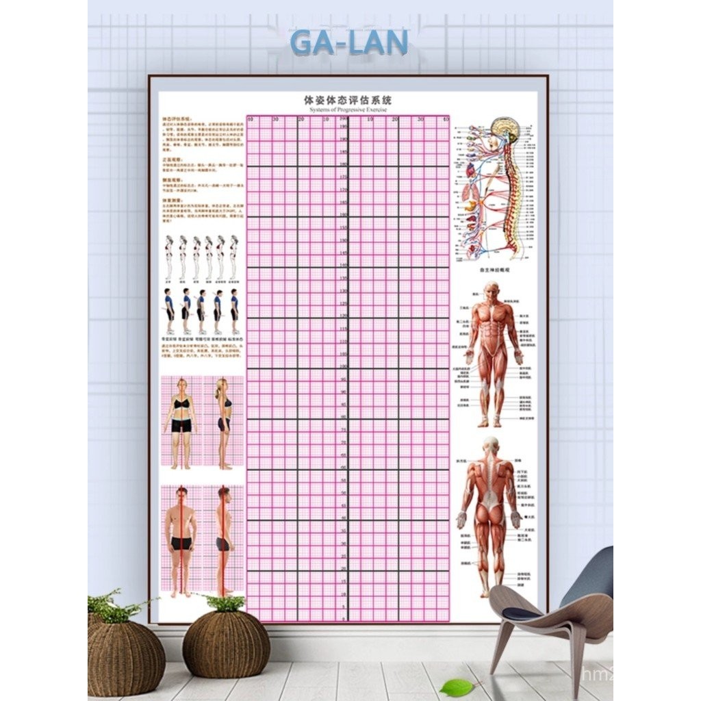 Posture Assessment Chart Wall Sticker Gym Fitness Grid Paper Yoga ...