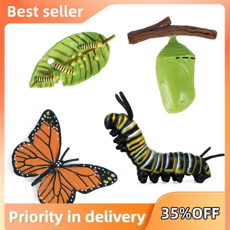 Simulation Life Cycle Figurine of a Monarch Butterfly Growth Cycle ...