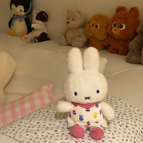 Graduation Gift Bouquet Plush Toy[5758People Collection]Mify Miffy Rabbit Limited Edition Miffy ...
