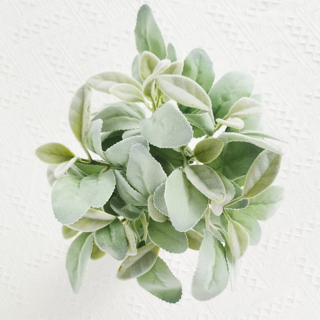 Artificial Flocked Lambs Ear Leaves Dusty Miller Stems Flocked Oak ...