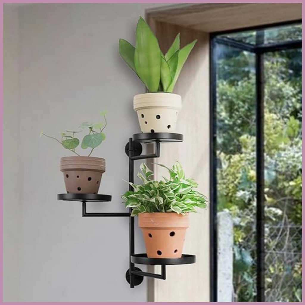 Rotating Window Plant Shelves 3-Tier Plant Shelves for Indoor Window ...