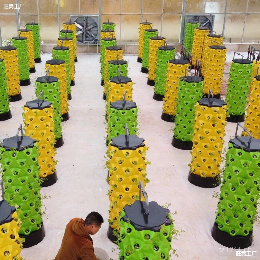 Greenhouse Aeroponic Cultivation Model Planting Soilless Cultivation ...