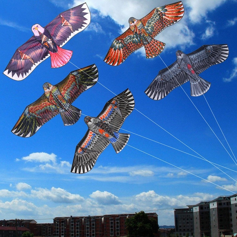 Large Plane Eagle Flying Bird Kites Free kite line Cartoon Animal Kites ...