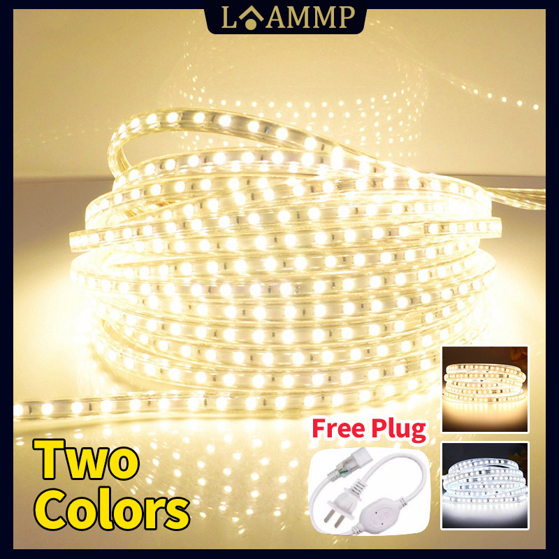 5/10/20M LED strip light waterproof light with decorative light ...