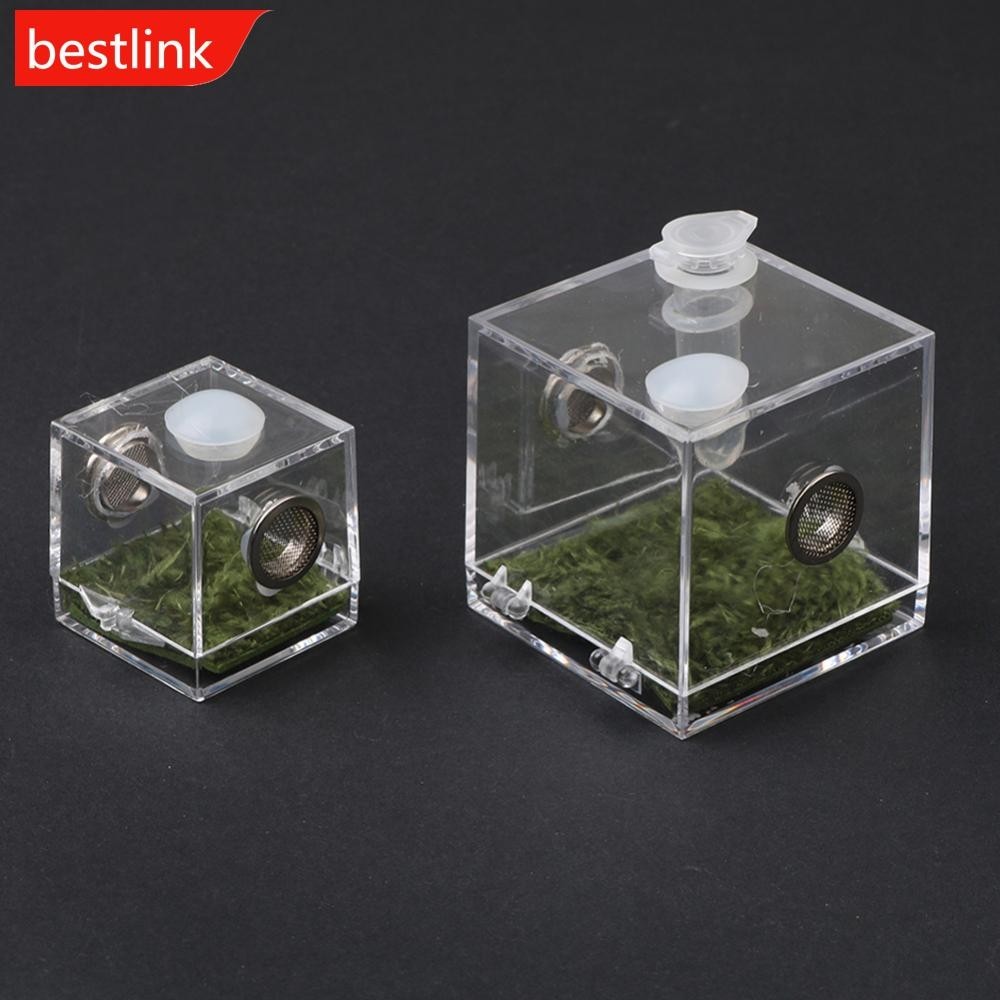 BESTLINK 1set Insect Breathable Terrarium Ant Farm Water Feeder Spider ...