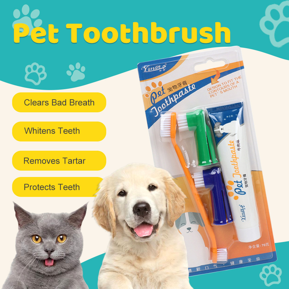 4pcs/set Dog Toothbrush Set Pet Supplies Cat Toothpaste Set Mouth ...