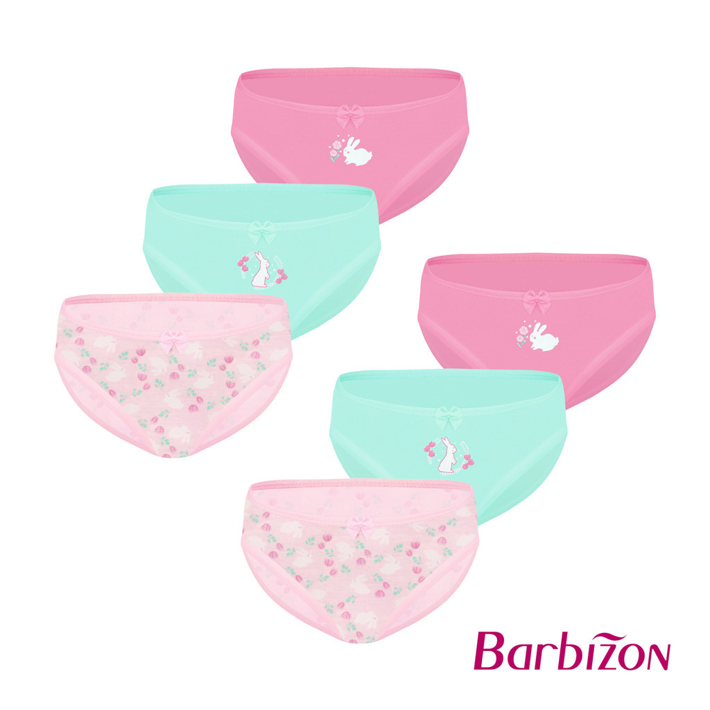Barbizon Enchanting Delight 6-in-1 Pack Bikini Panties Underwear For ...