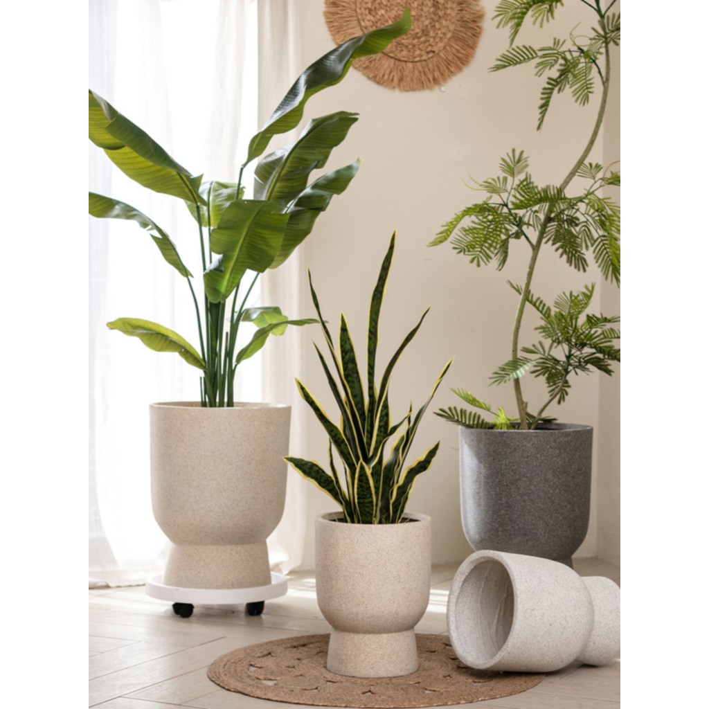 Nordic Magnesium Clay Tall Cup Flower Pot Money Tree Green Plant ...