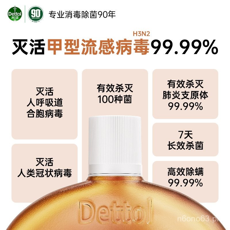 Dettol Disinfectant Laundry Household Sterilization Indoor and Outdoor ...