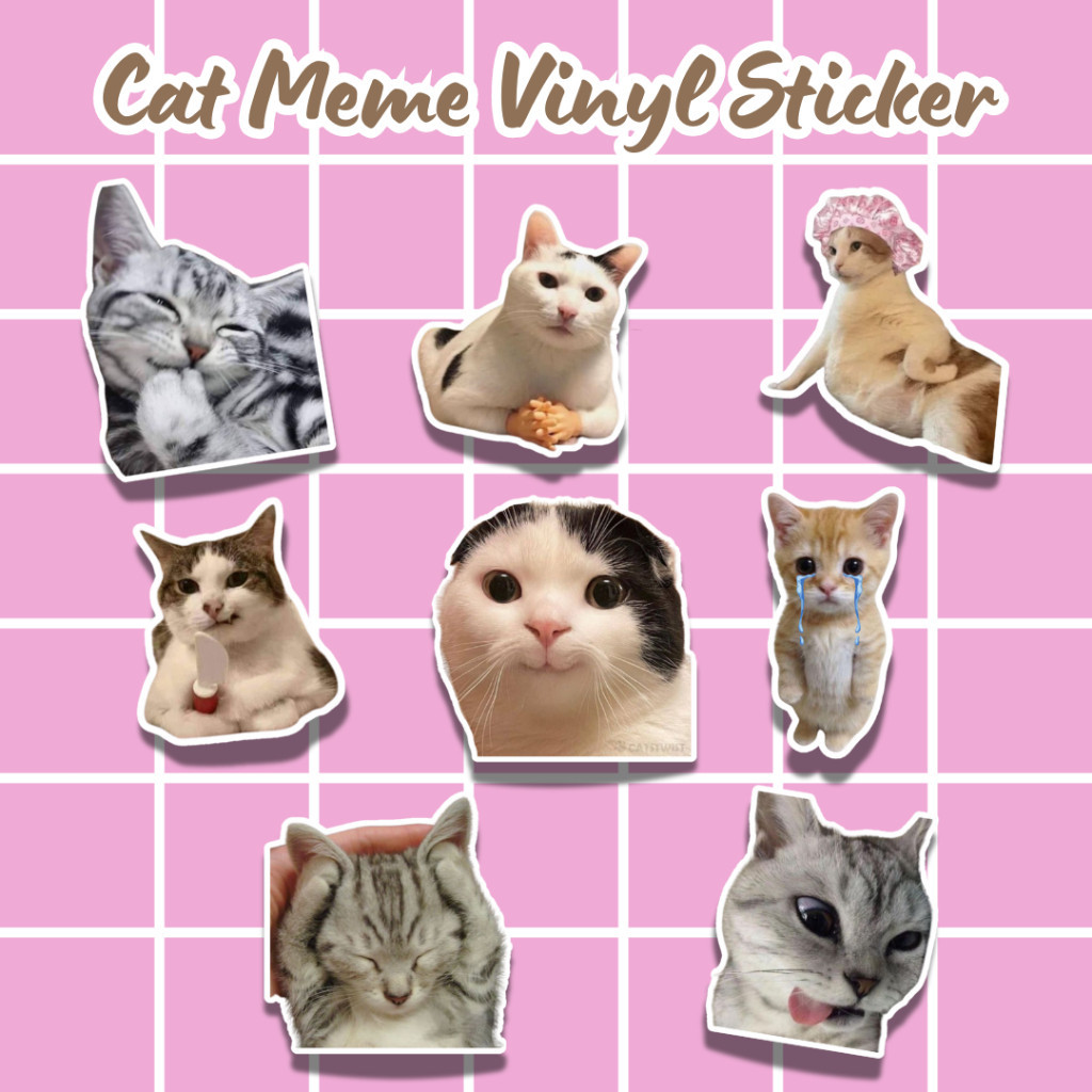 Cat Meme Vinyl Waterproof Sticker Gift fun for laptop tumbler phone ...