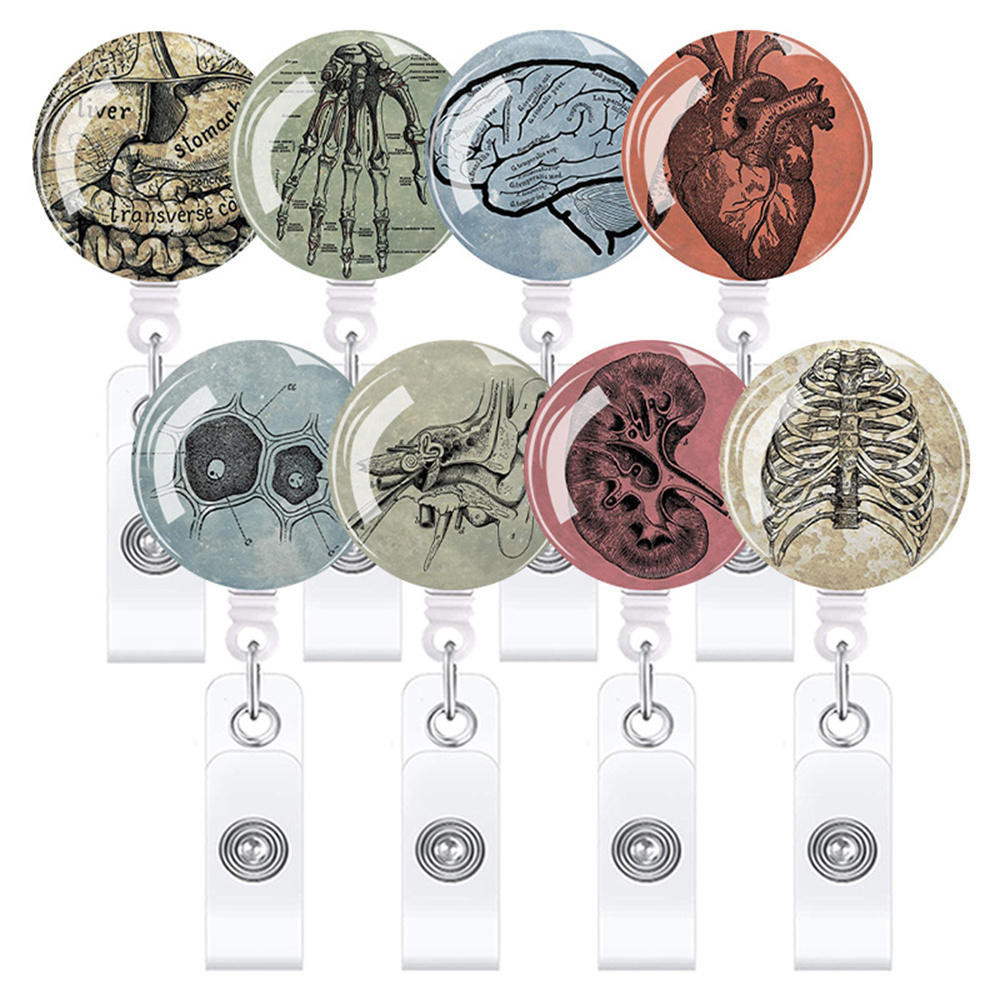 Brain And Heart Badge Reel, Human Organs Retractable Name Card Badge ...