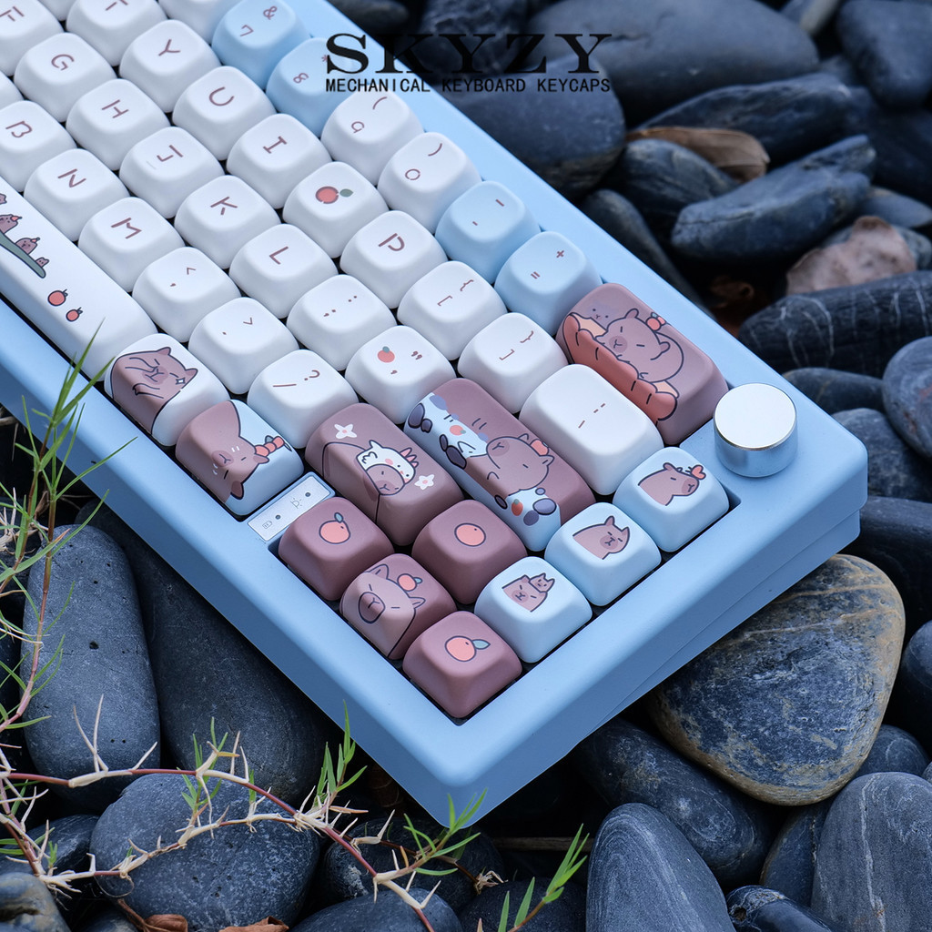 Capybara Keycaps SOA Profile cute animal PBT Dye Sub Mechanical ...