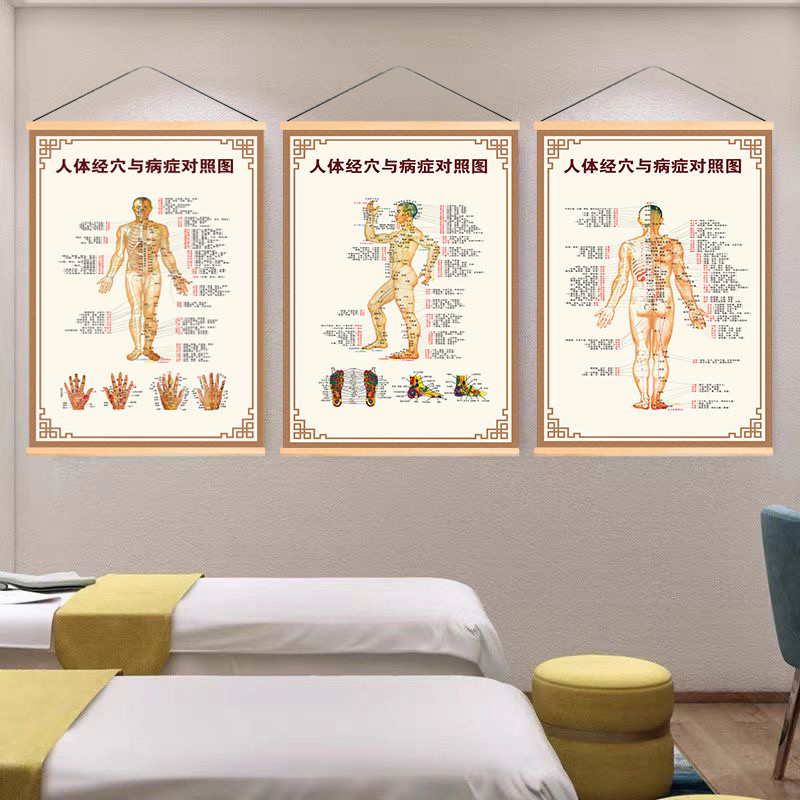 [52% Repurchase Rate] Whole Body Meridian Acupoint Chart Wall Chart ...