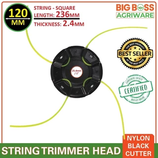 tansi - Best Prices and Online Promos - Dec 2025 | Shopee Philippines