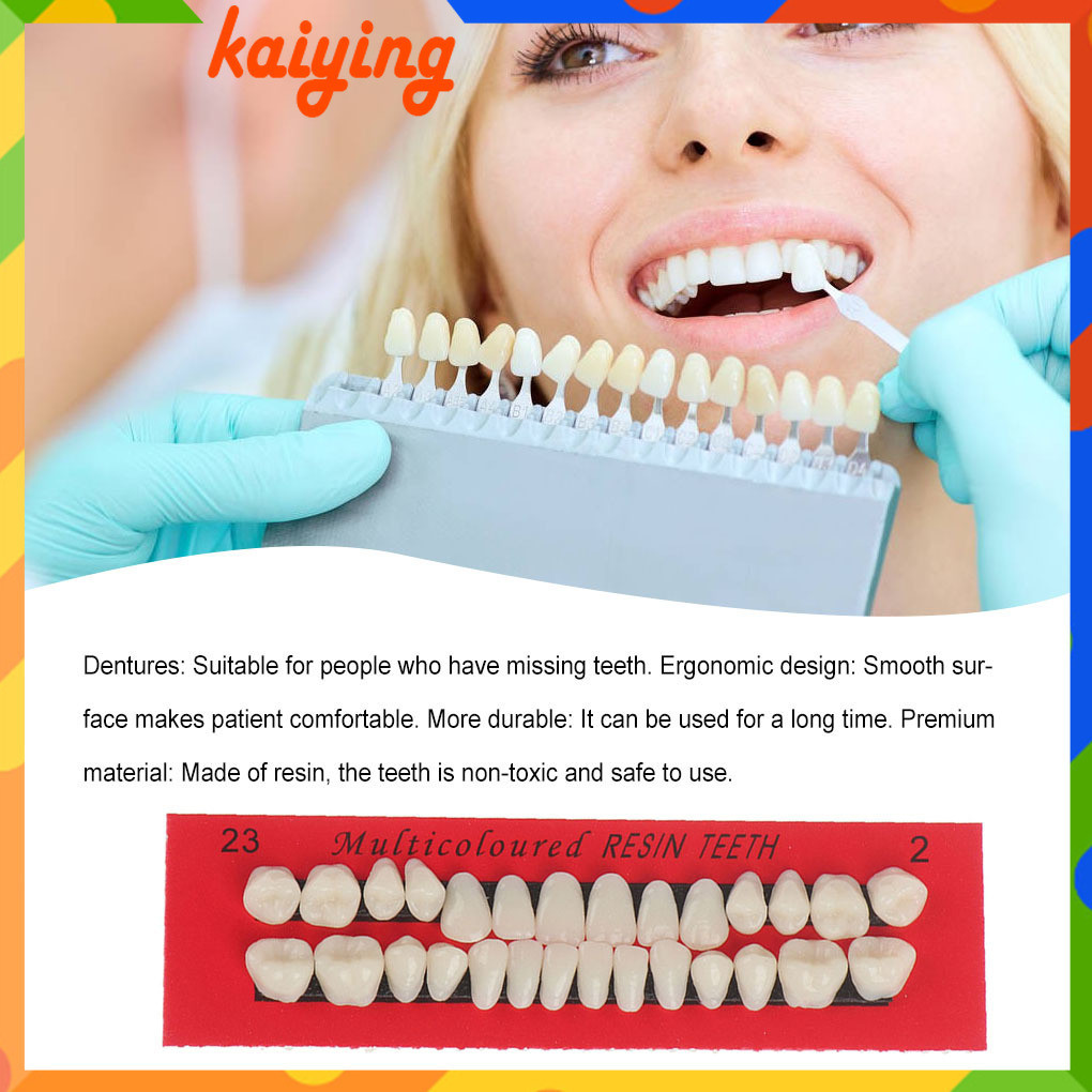 28Pcs Set Realistic Resin Teeth Model Dentures Universal False Teeth ...