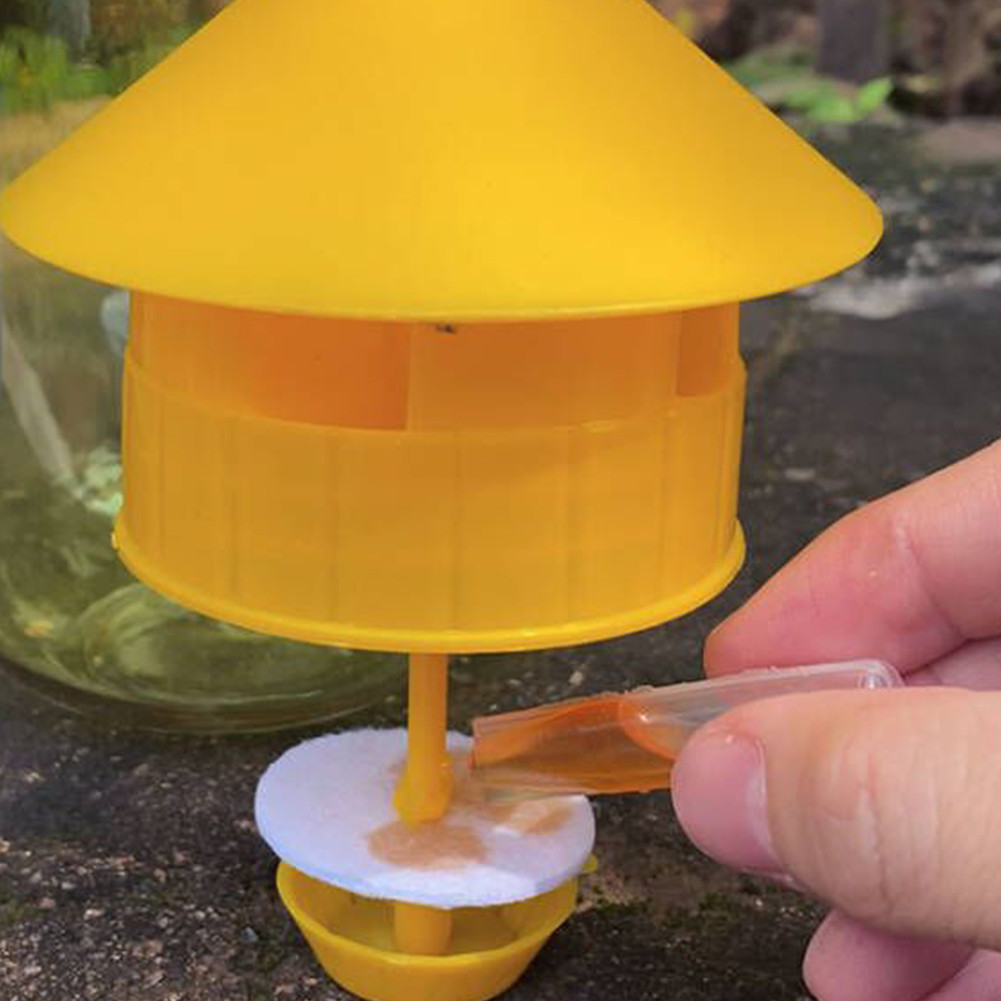 Fruit Fly Trap Killer Drosophila Trap with Hanging Hole for Outdoor ...