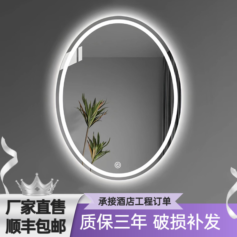 Anti-fog Lighted Bathroom Mirror Touch Screen Oval Mirror Smart LED ...