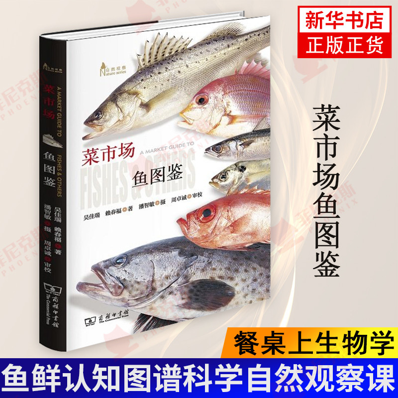Fish Market Fish Guidebook Table Biology Fish Fresh Cognitive Graph ...