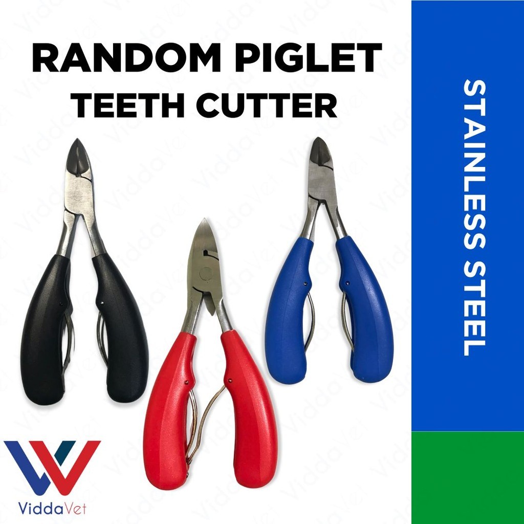 Easy to Use Tool for Managing Piglet Teeth for Health and Safety Piglet ...
