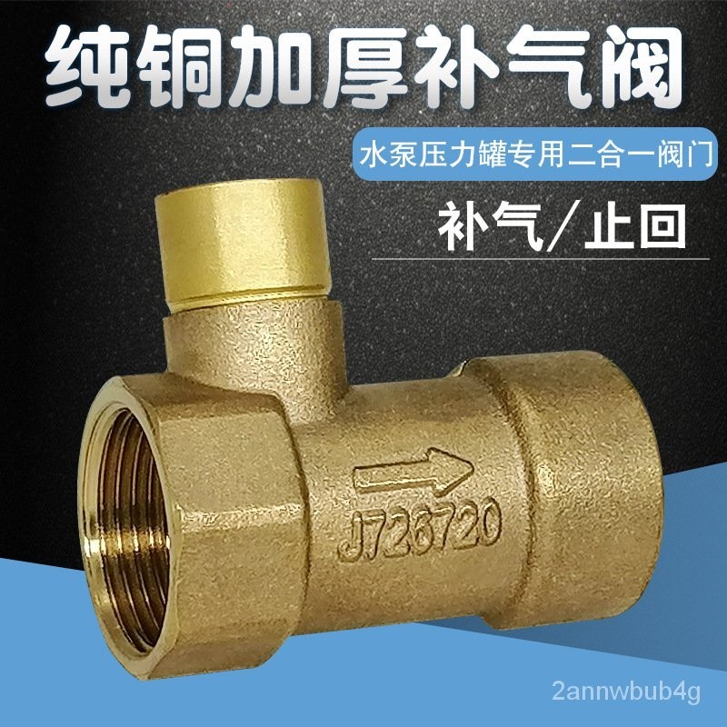 Water Pump Pressure Tank Two-in-One Check Valve Tower-Free Water Feeder ...