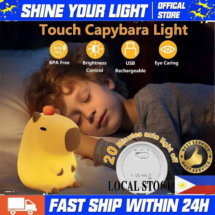 Touch Sensor Capybara Light Lamp Silicone Night Light USB Rechargeable ...