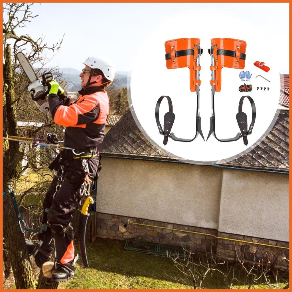 Tree Climbing Spikes Height Adjustable Spikes Kit for Tree Climbing ...