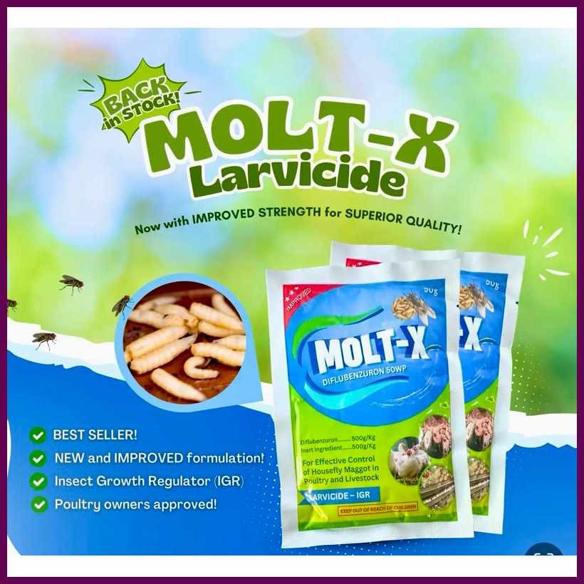 MoltX?o$Larvicide|g@Poultry`cM;50g&Pampatay&Uod&Larva&ng'YE