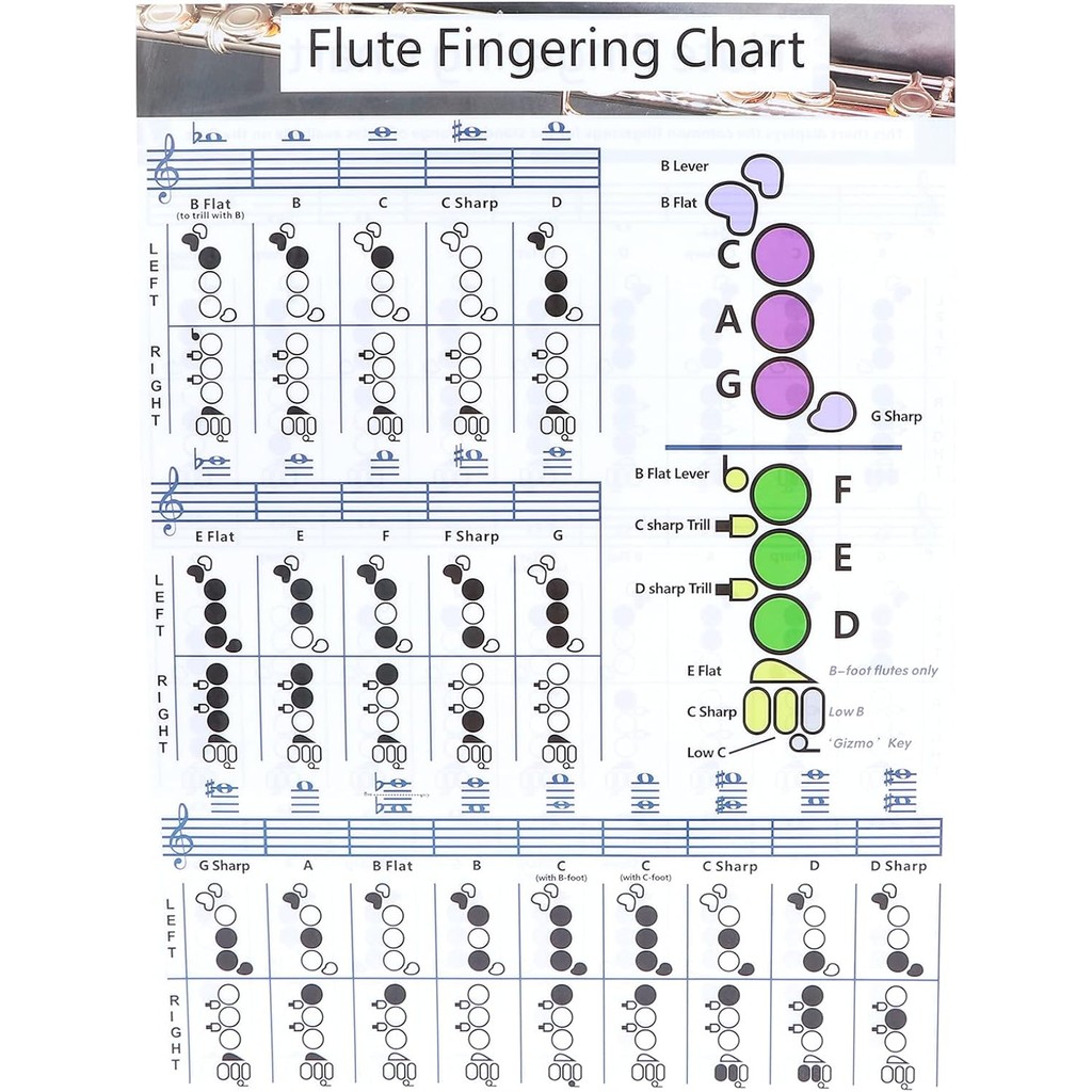 Flute Chord Chart, Easy-to-understand Flute Fingering Practice Chart ...