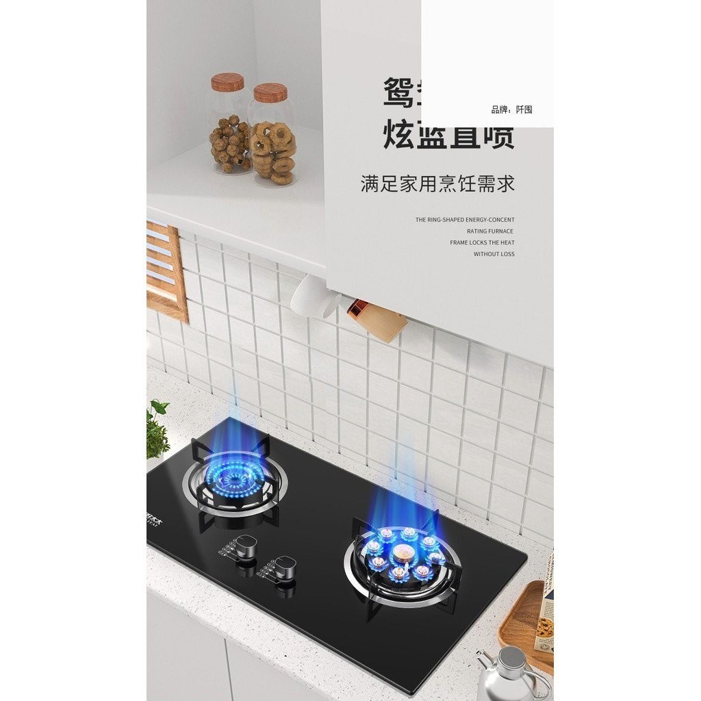 Gas Stove Double Burner Home Gas Stove Embedded Desktop Natural Gas ...