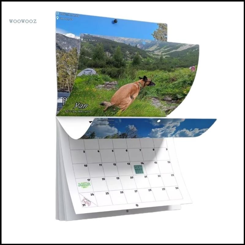 WOOW Funny 2024 Dog Poop Calendar Hilarious Wall Decoration Art for Gag ...