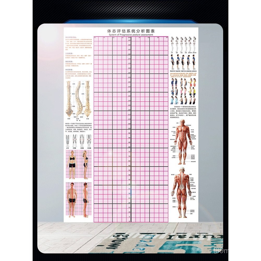 Posture Assessment Chart Gym Yoga Personal Training Body Measurement ...