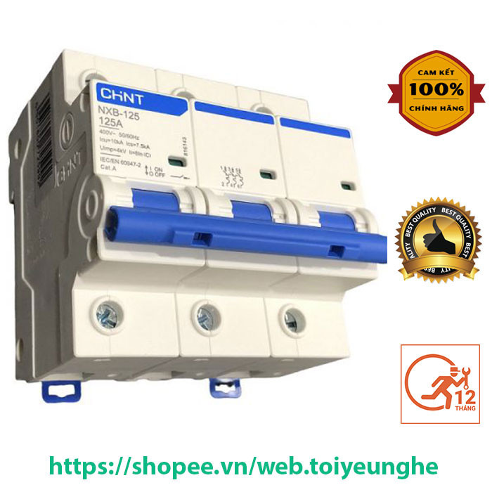 Aptomat MCB Chint NXB-125G 3 phase 80A 100A 125A EXCESS TO NXB-125 3P | Shopee Philippines