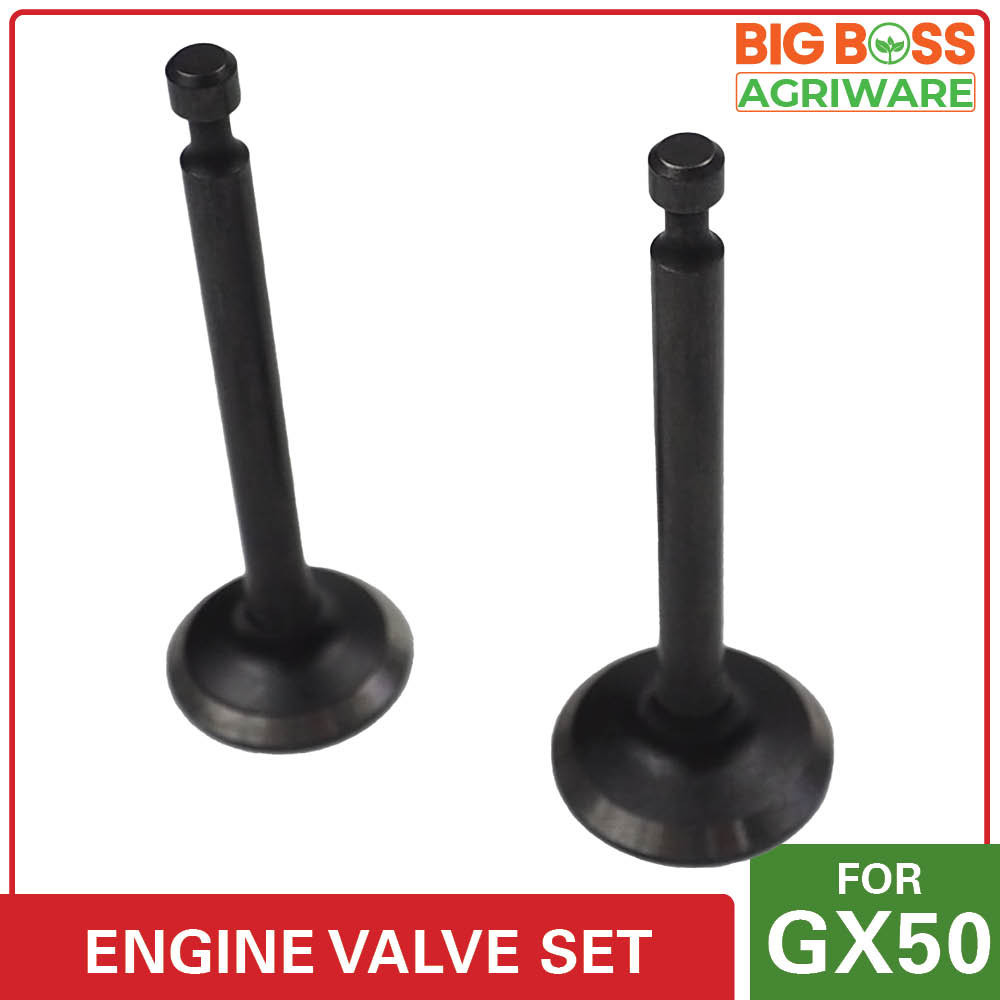 Big Boss Agriware GX50 Engine Valve Set 4-Stroke Honda Grasscutter ...